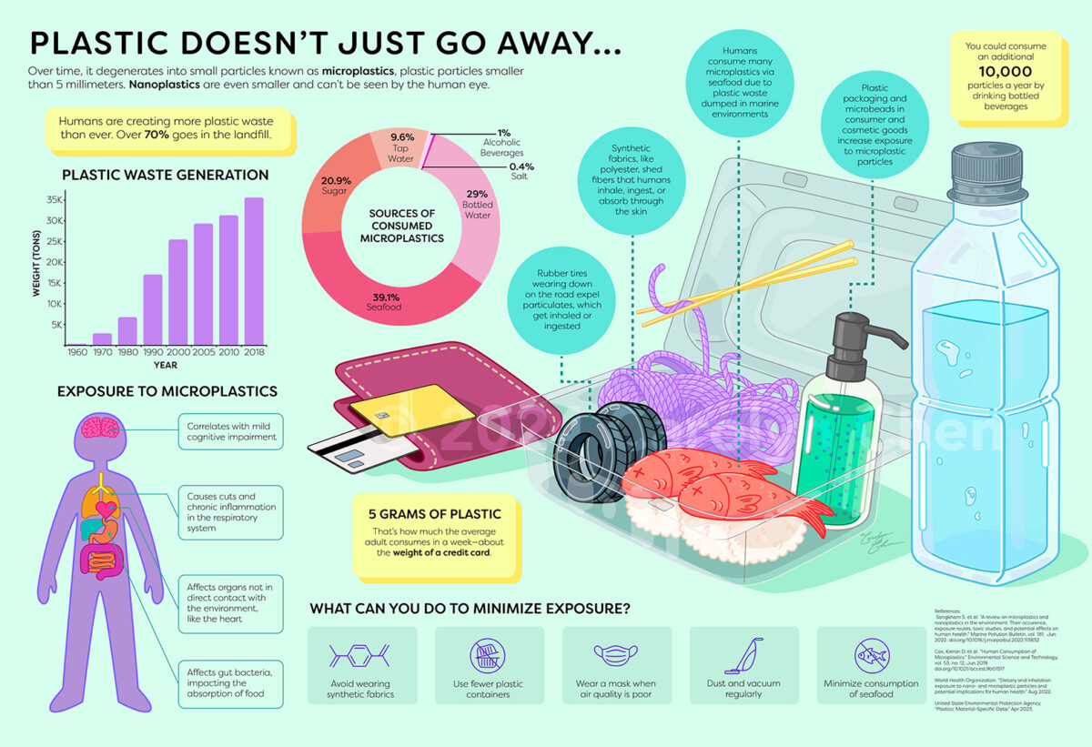 Microplastics Infographic – Carolyn Chen Biomedical Visualization